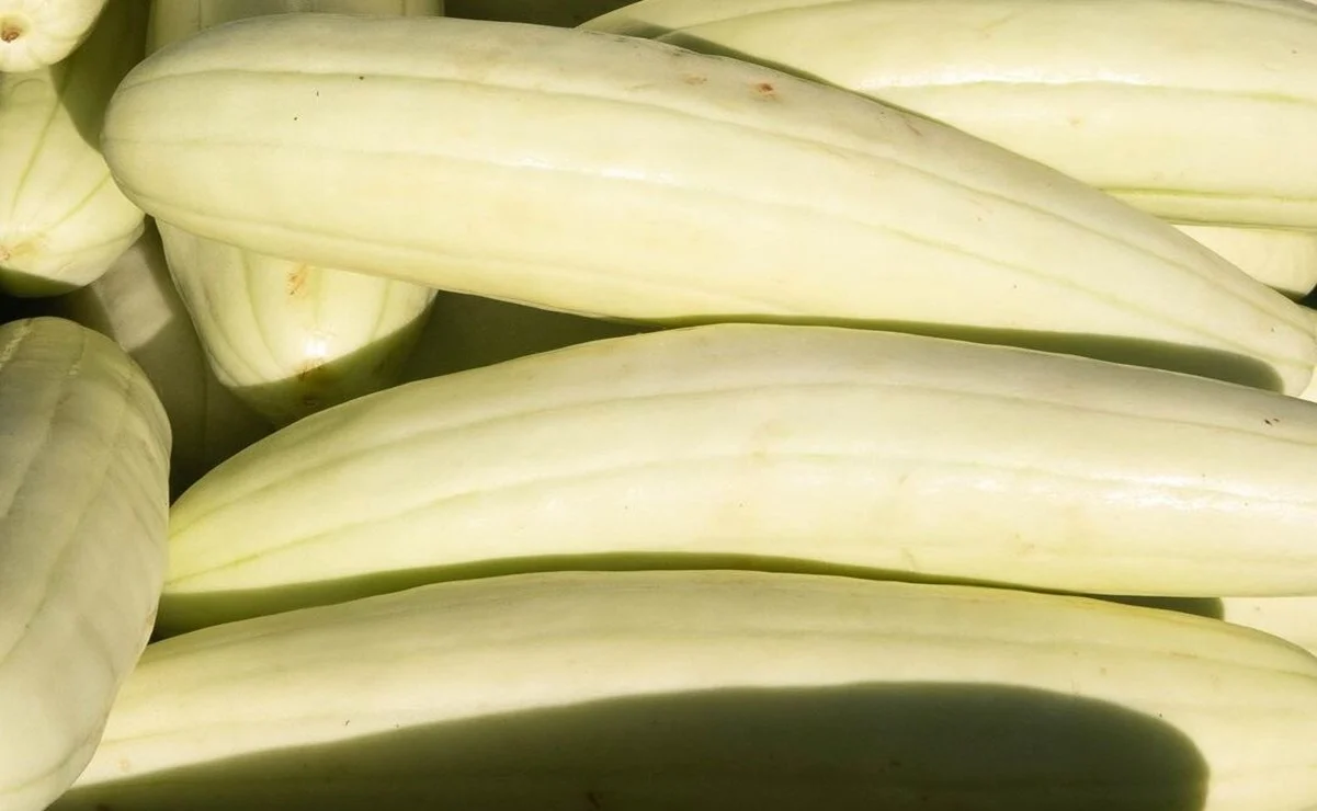 Prueba el dulce de pepino, una receta típica de Campeche - La Prensa de ...