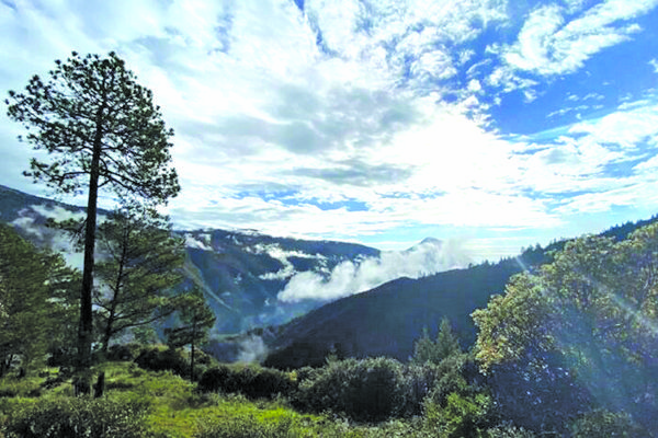 Prohíben acceso a cima de la sierra de la Martha - La Prensa de ...