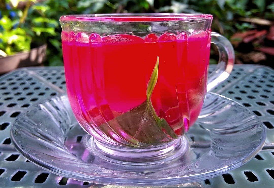 Conoce las propiedades medicinales de la infusión de muicle - La Prensa ...