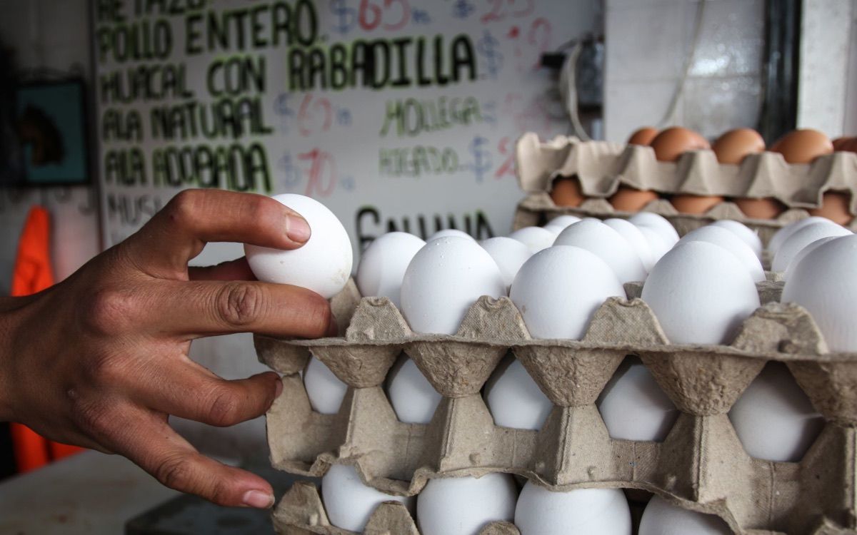 Conoce los productos básicos que más han subido en 2023 - La Prensa de ...