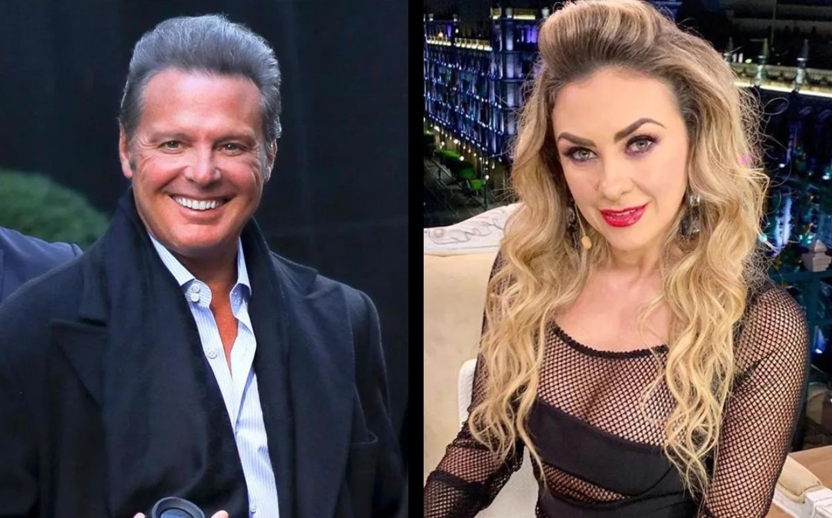 Aracely Arámbula lanza indirecta a Luis Miguel: “…yo salí del Rey Cucaracho” - La Prensa de ...
