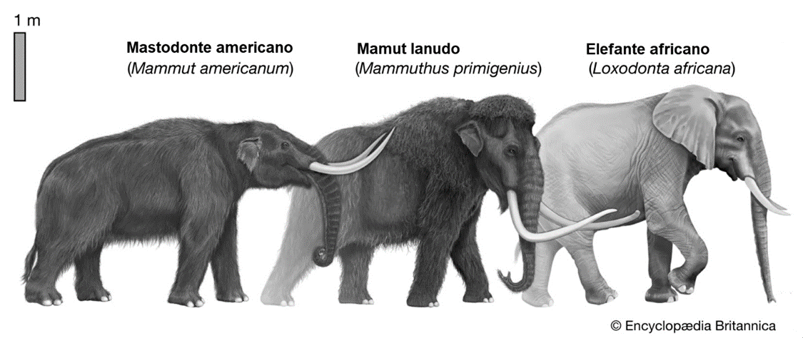 RESUCITAR AL MAMUT - La Prensa de Coahuila | Noticias de Coahuila al ...