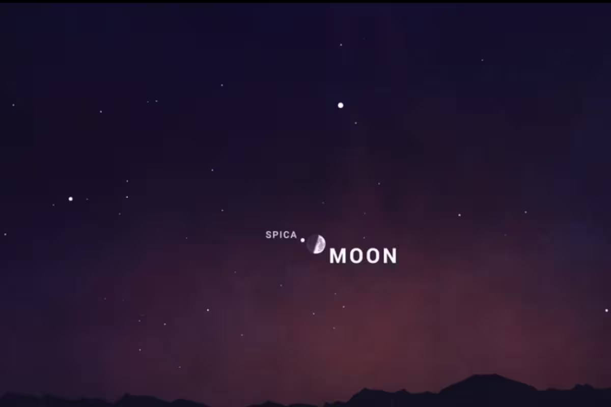 La estrella más brillante será eclipsada por la luna este mes de julio ...
