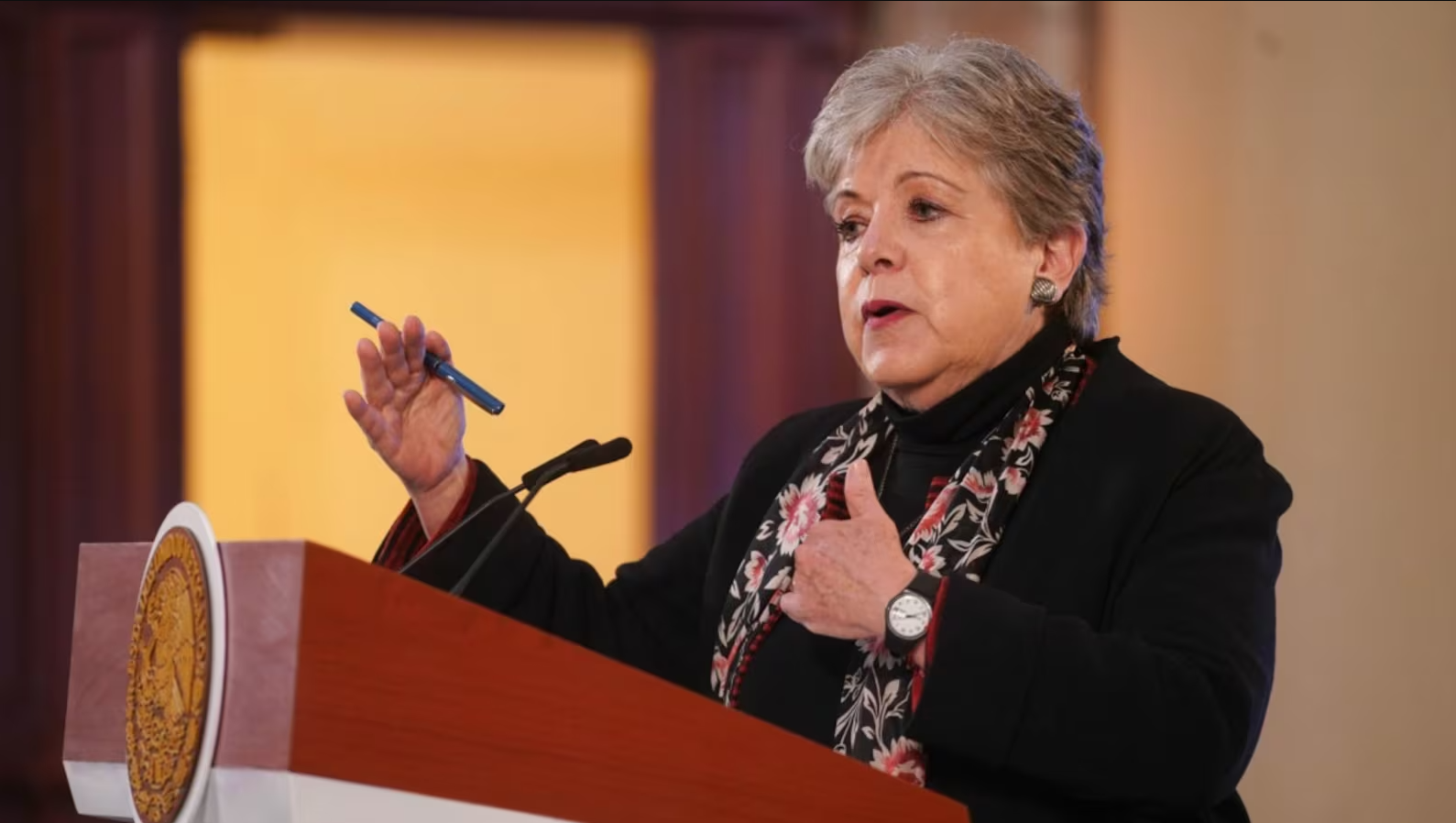 Preocupa a Alicia Bárcena recorte de Sheinbaum a Semarnat: ‘Estamos viendo cómo compensarlo ...