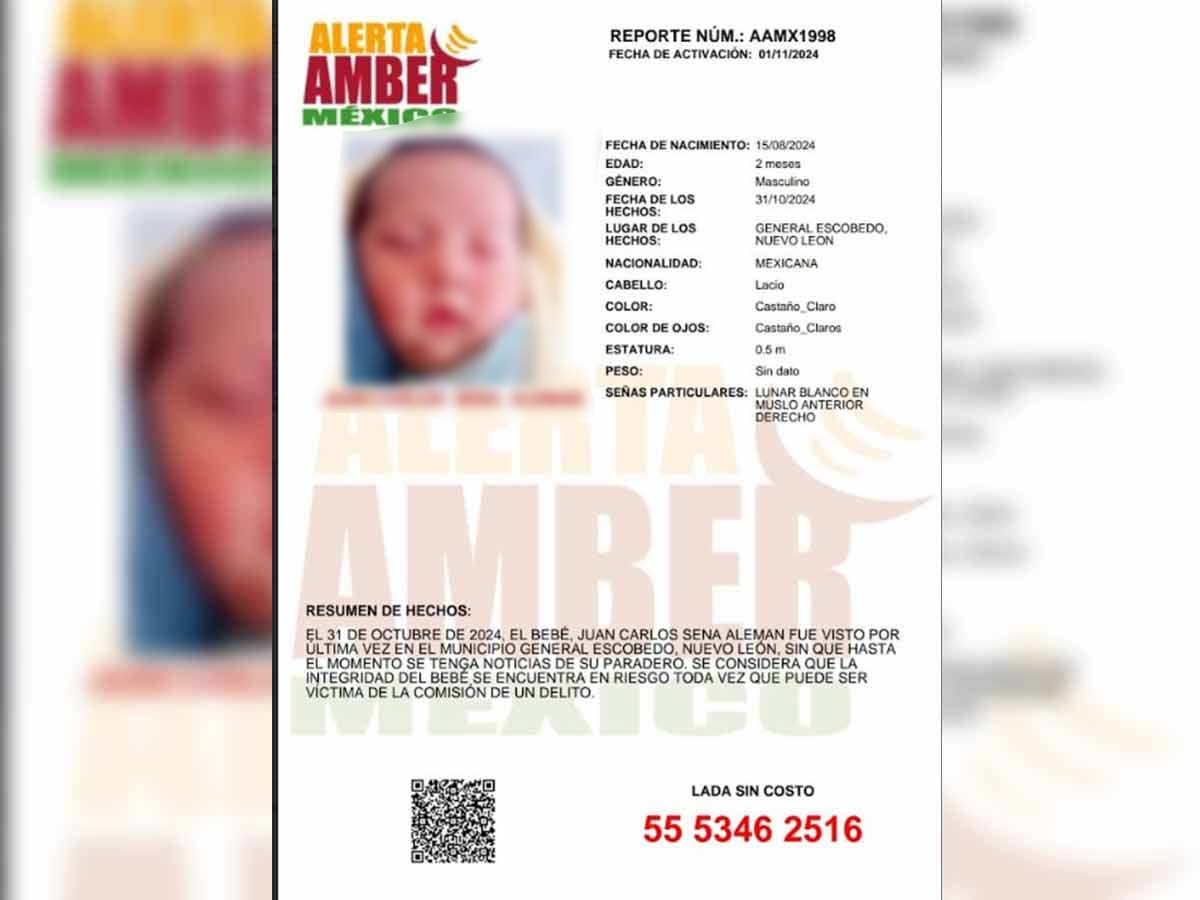 ¿Cómo activar una Alerta AMBER en México tras el robo o desaparición de ...