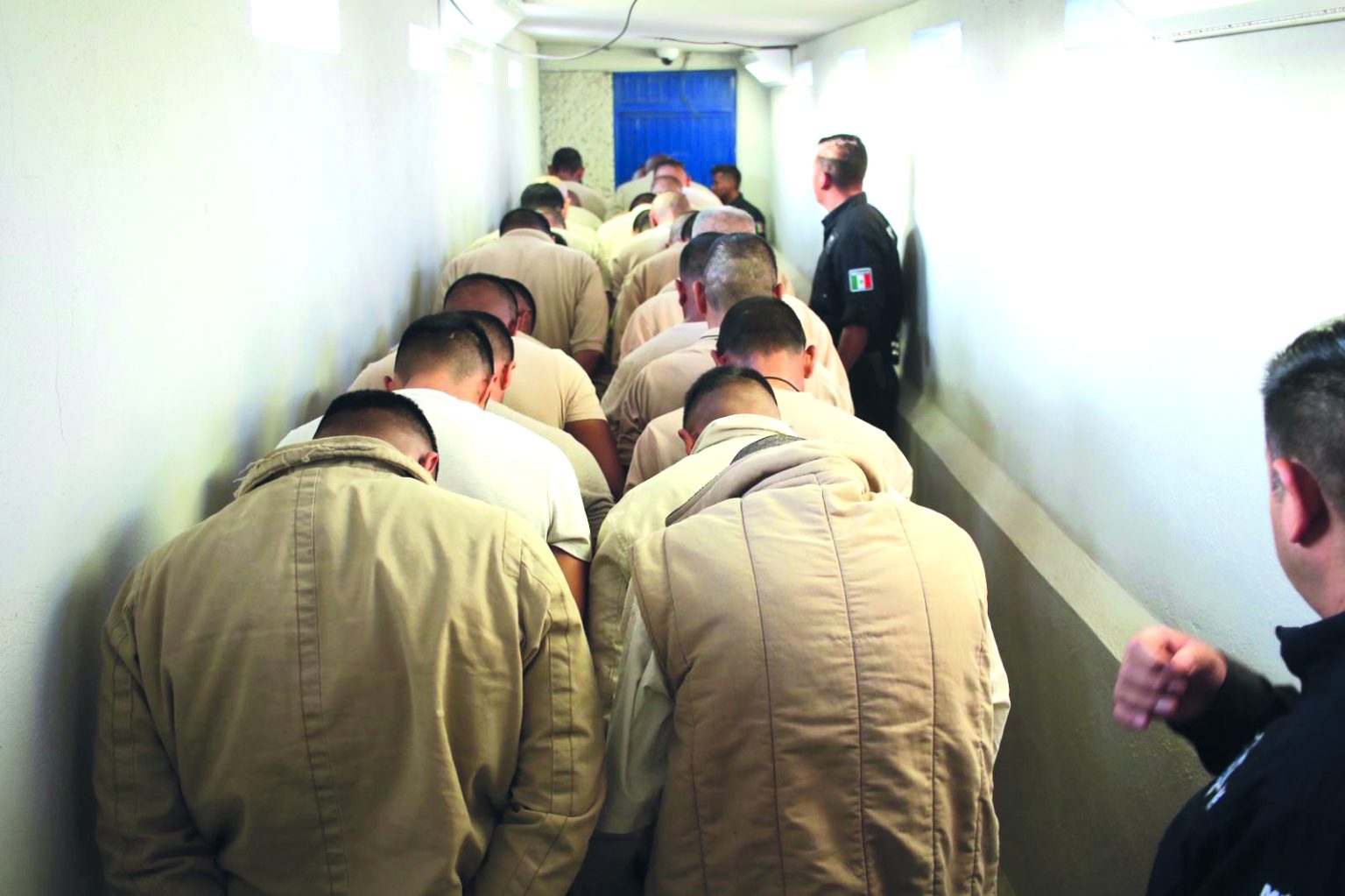 Presentan Lobos de la UAdeC nueva imagen - La Prensa de Coahuila | Noticias de Coahuila al instante